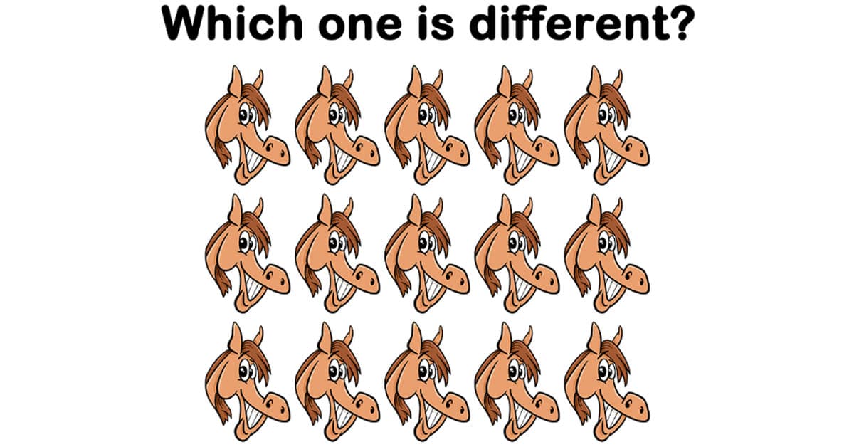 Can You Find Which One Is Different can-you-find-which-one-is-different